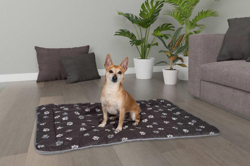 ACUS Textiles GmbH | Welcome to the World of Textiles